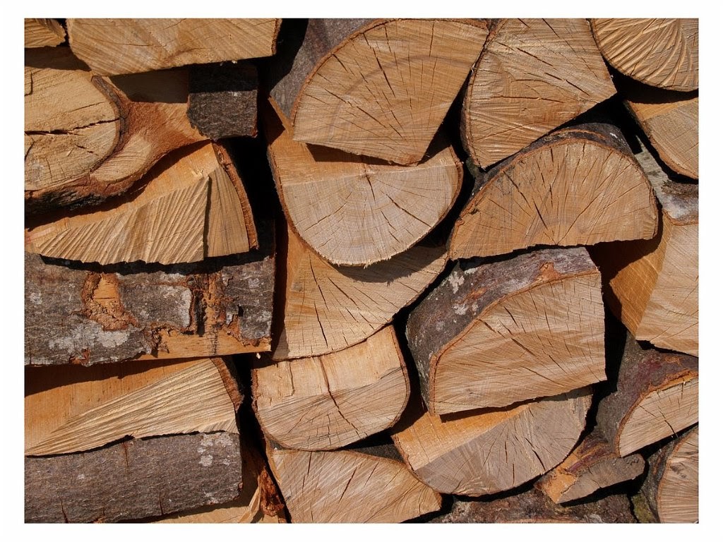 .: Vijf paardentypen: Vuur, aarde, metaal, water en hout..