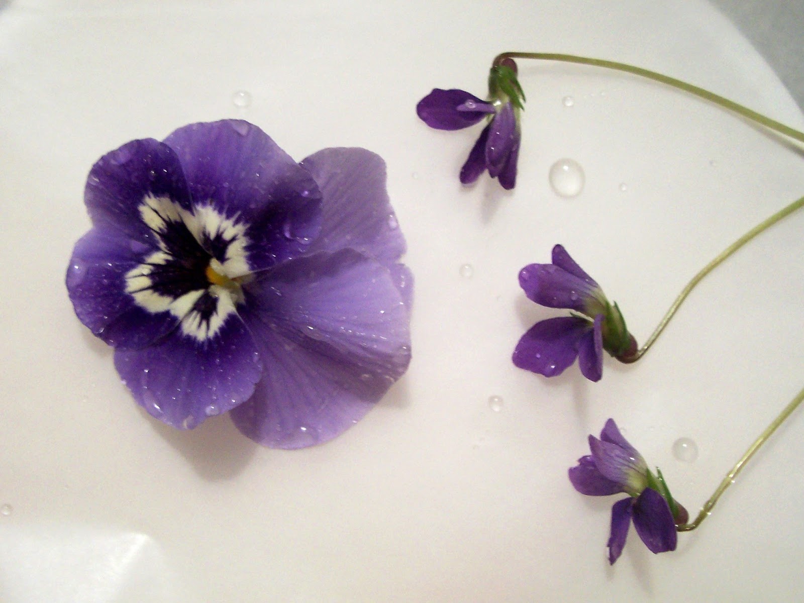 Survival and Preparedness on a Budget: How to Crystallize Flowers