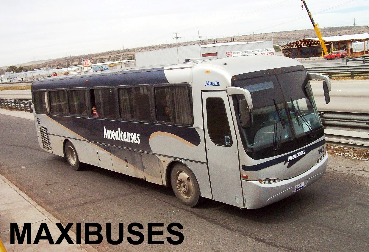 MAXIBUSES: AUTOBUSES AMEALCENSES