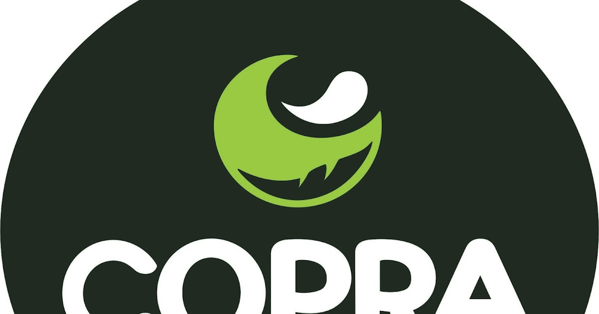 Blog Jornal da Mulher: Copra apresenta Chips de Coco em três sabores