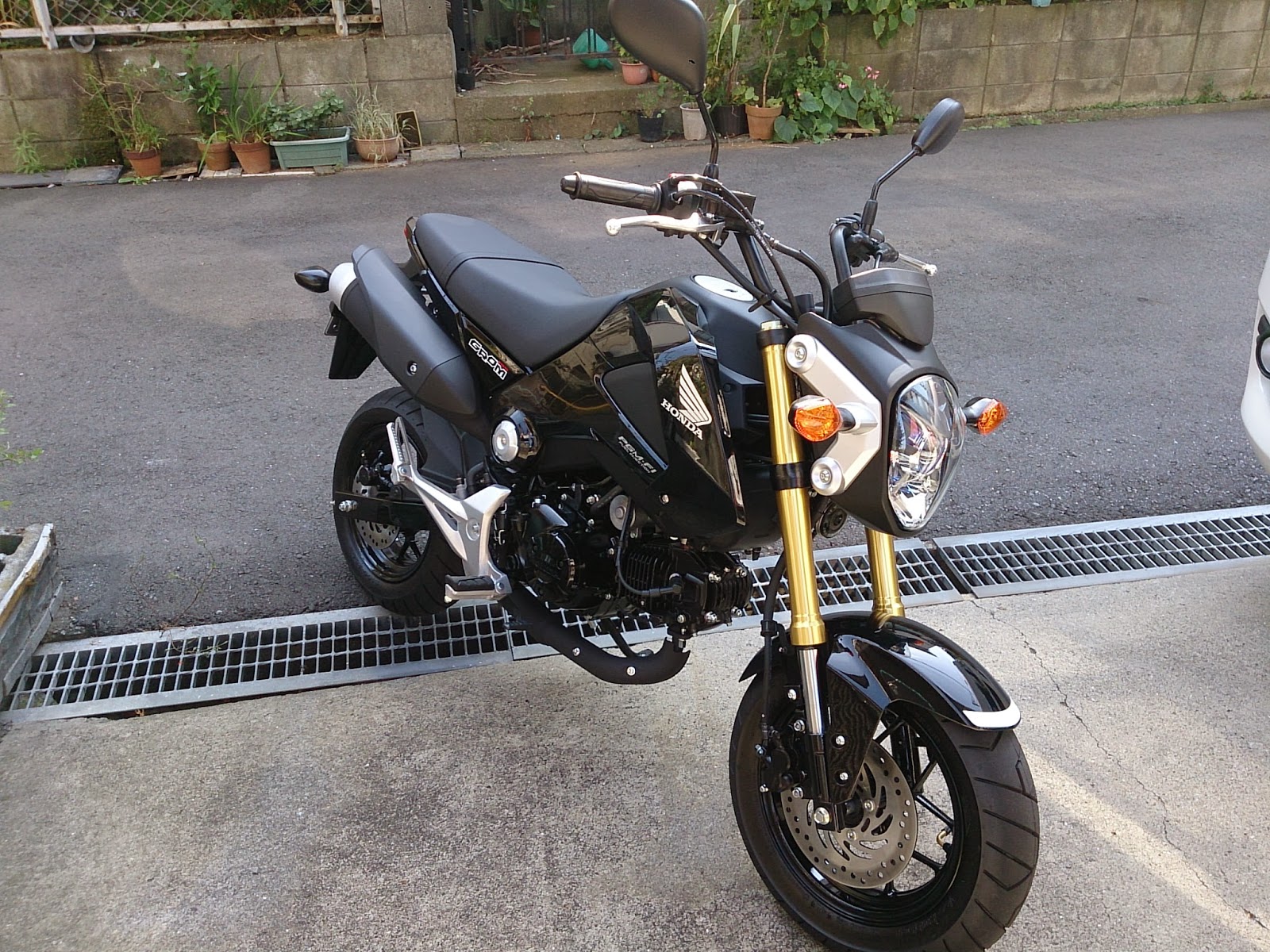 Wake's Blog: HONDA GROM購入