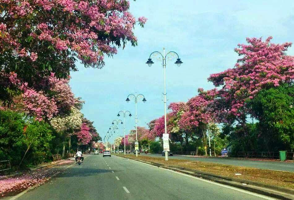 44+ Baru Pemandangan Negeri Sakura