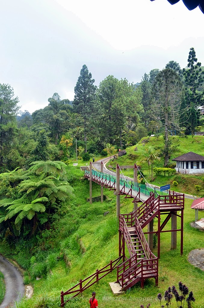zulazrin.blogspot: Bukit Larut - Maxwell Hill