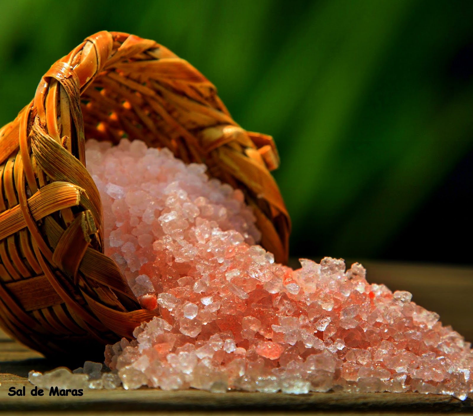 Acerca de la Sal/About Salt