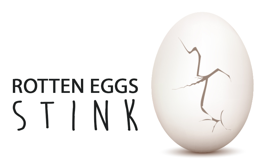 Crazy little thing called life: Rotten Eggs Stink