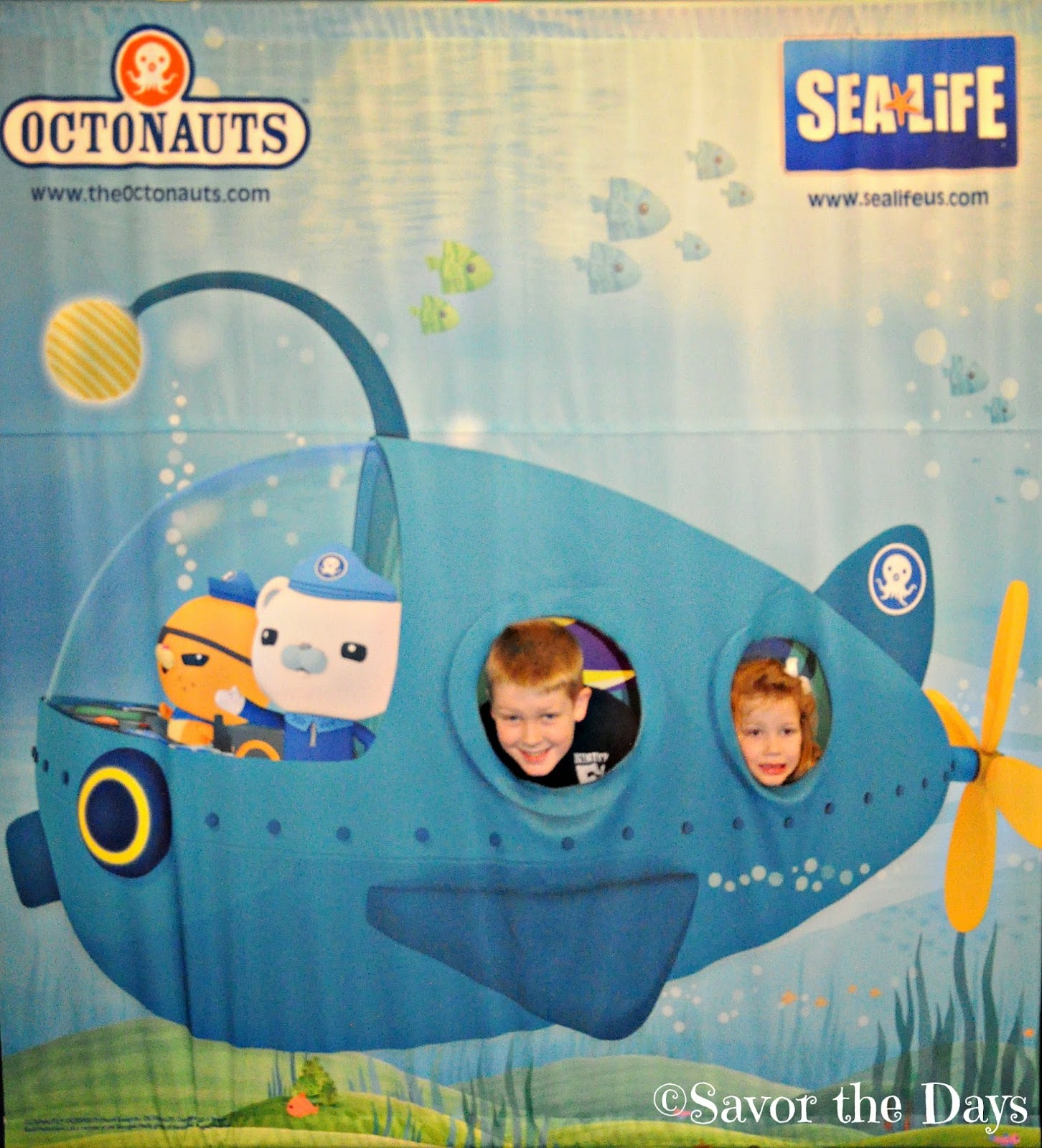 Sea Life Aquarium Octonauts at Emery Espinosa blog