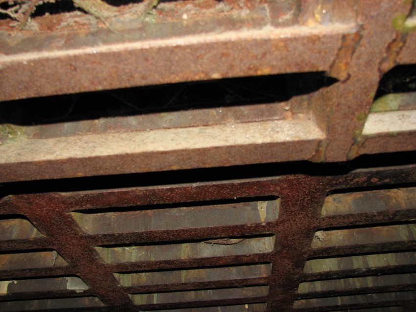 Tank Archives: Inside the Maus