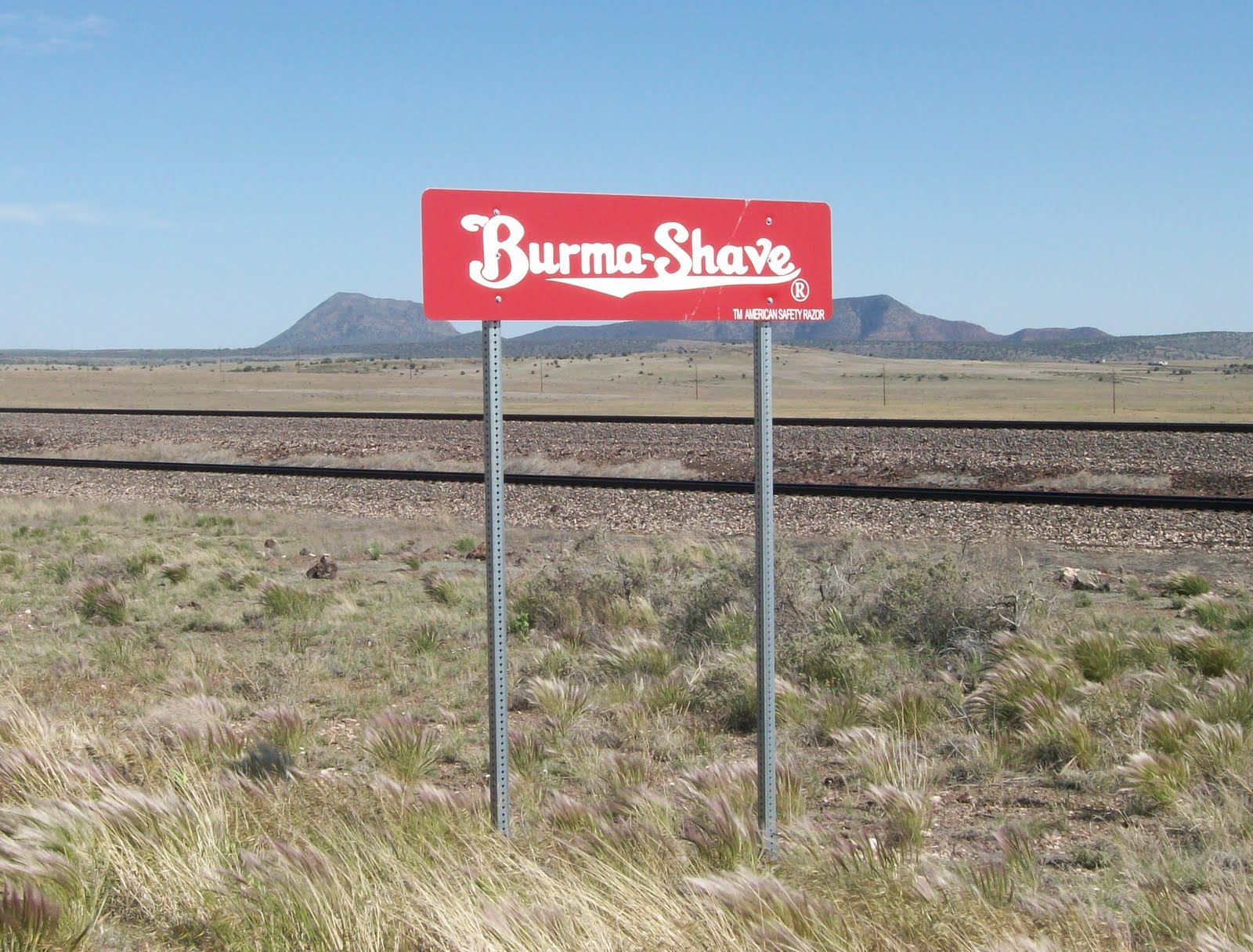 wacky tacky: Signs of the Times: A Road Trip Retrospective