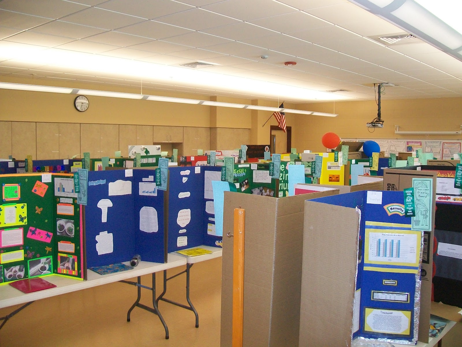 Project Fair - Science Fair, Biographies, Book Covers, & Poetry Books