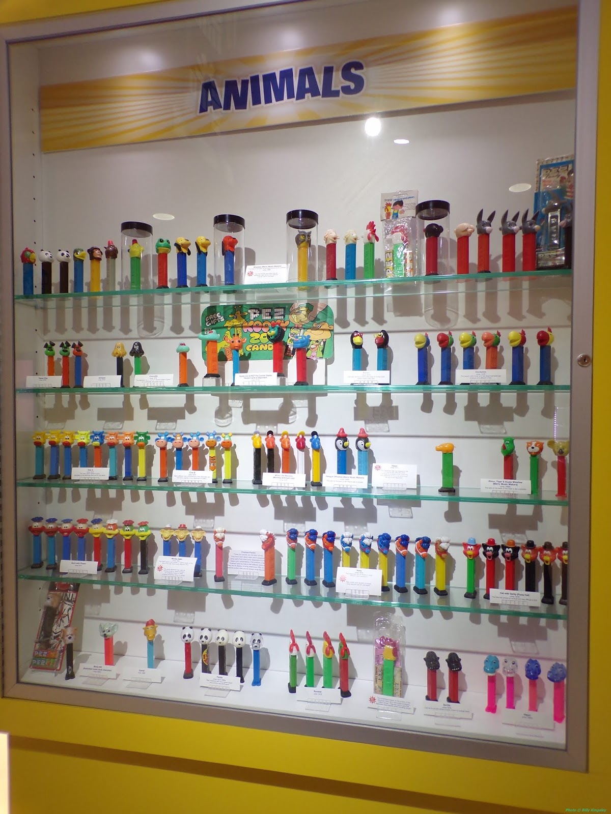 Cardboard History : A visit to the Pez Museum
