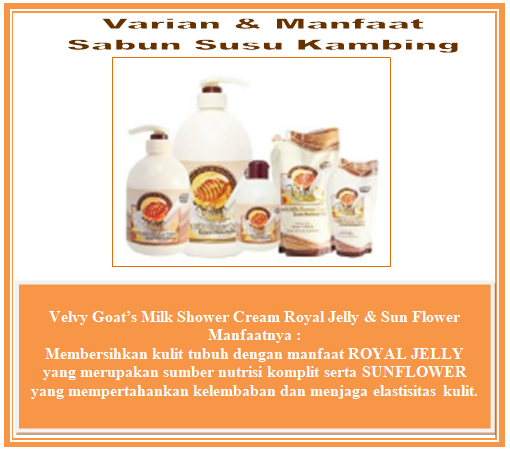 Blog Kesehatan: Dapatkan Kulit Putih, Lembut, dan Sehat Dengan Produk Velvy