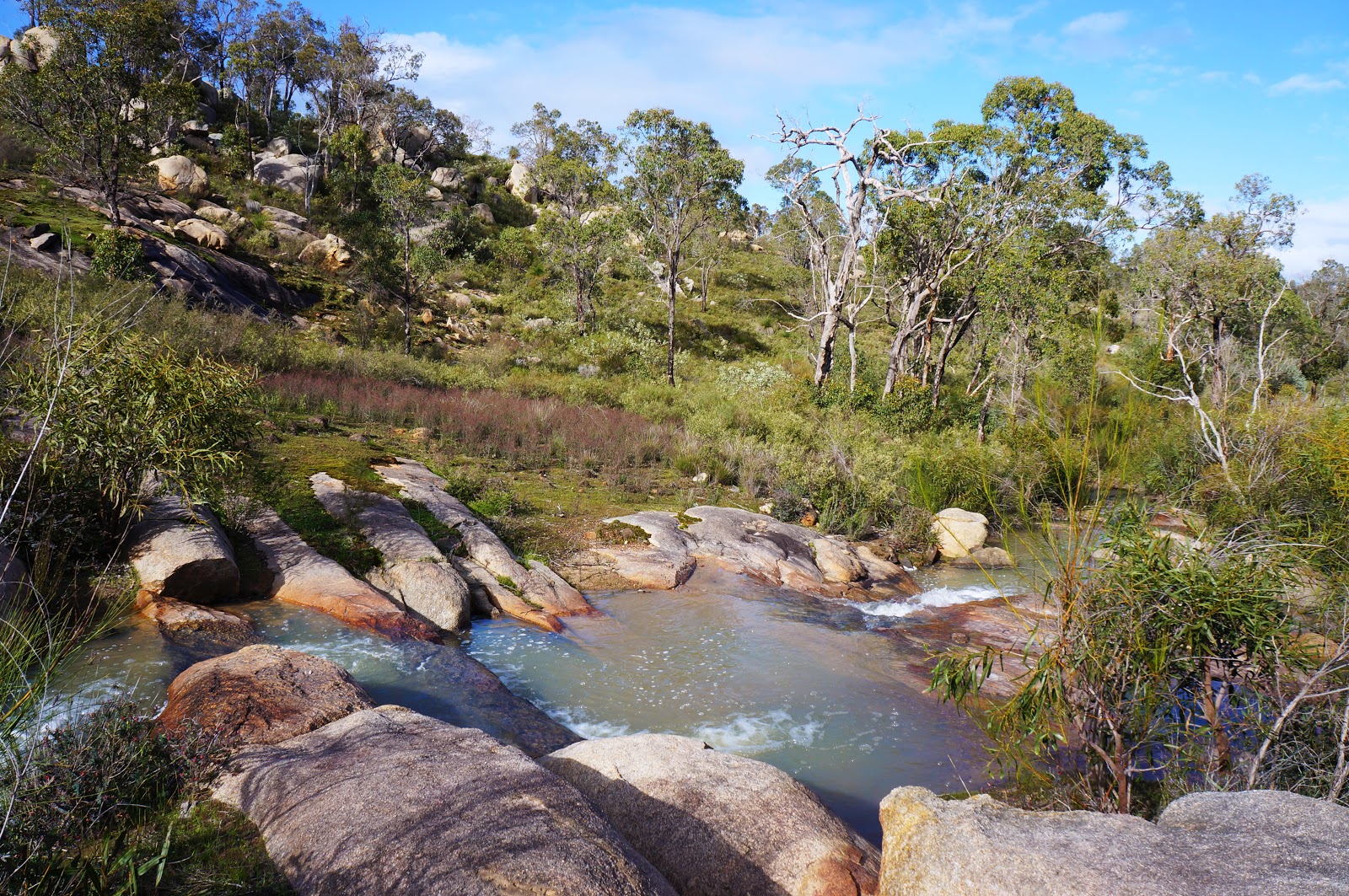 Eagle View Walk Trail (John Forrest National Park) ~ The Long Way's Better