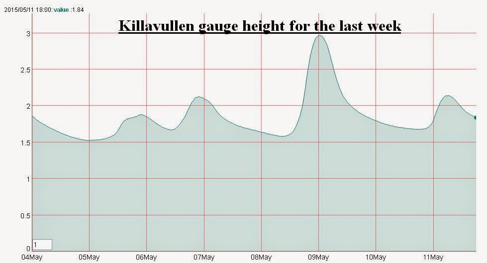 Blackwater Lodge Salmon Fishery: The river is fining off slowly