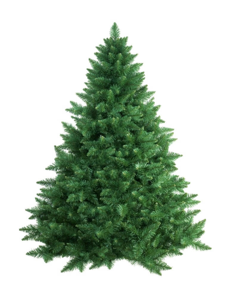 Christmas Tree Pics Free Download