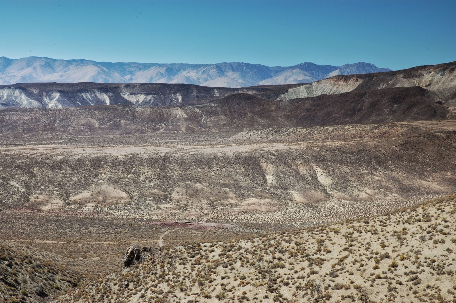 Mojave Desert Diary...: Mojave Desert: Image from the heart of the El ...
