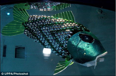 IKAN-IKAN ROBOT | Berita Warta Tips Info