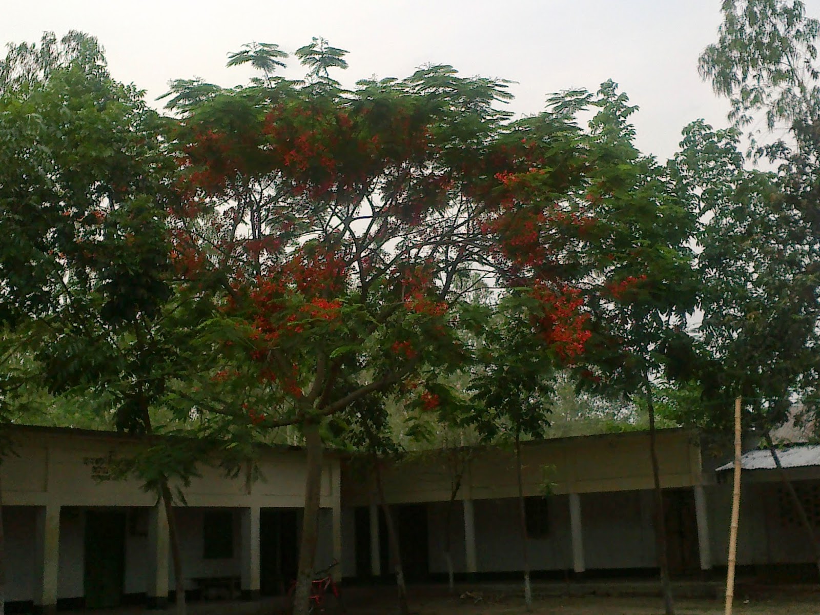 Beautiful BANGLADESH