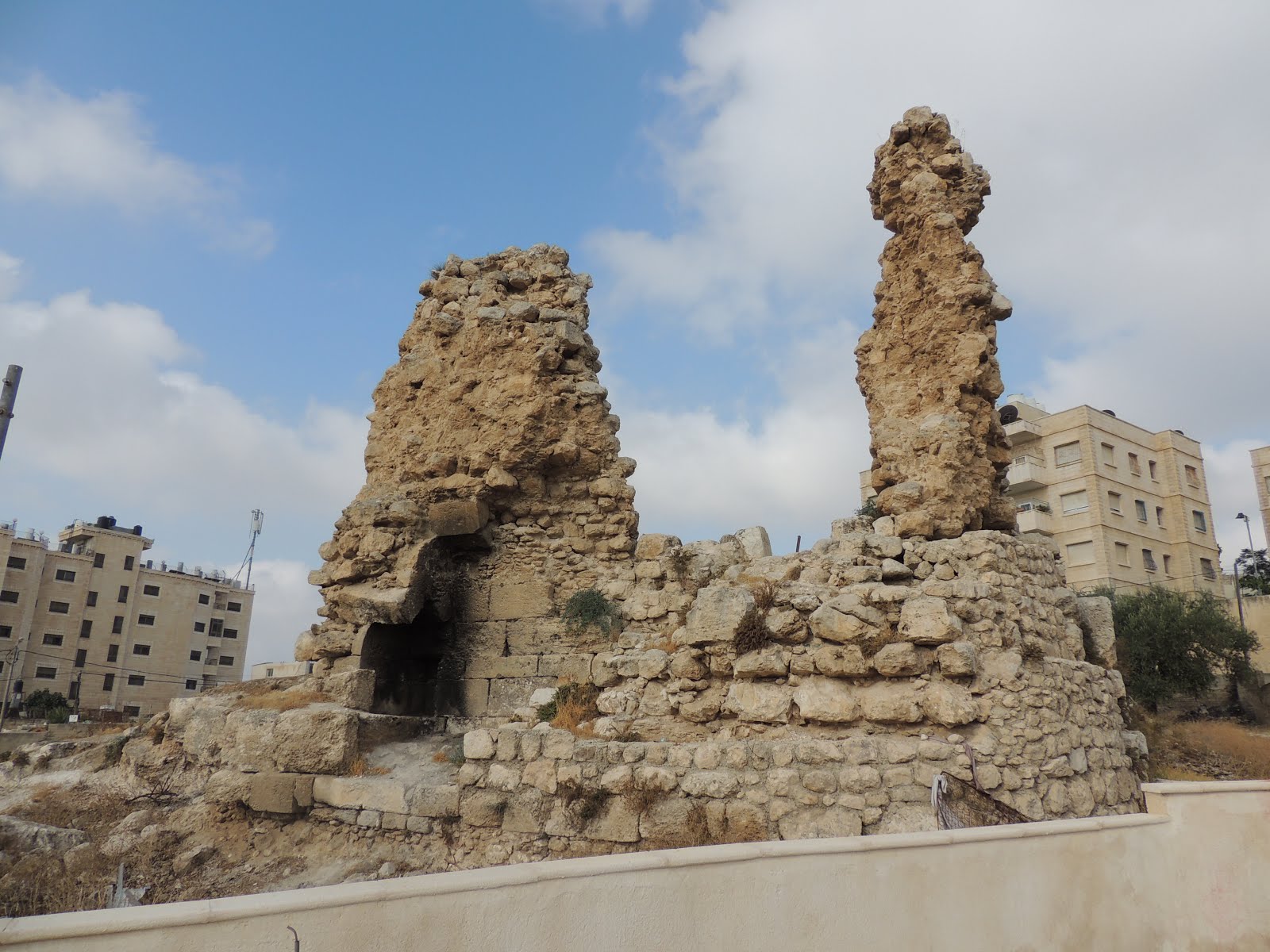 Mule Team on the Move