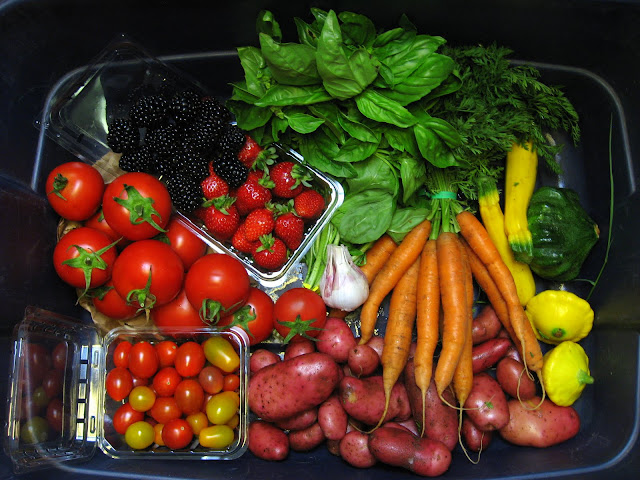 Robyn Cooks: Cassoulet with Lots of Vegetables