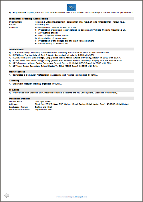 6 Years Experience Resume Sample