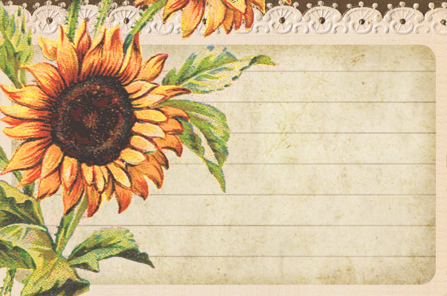 Printable Sunflower Stationery Designs