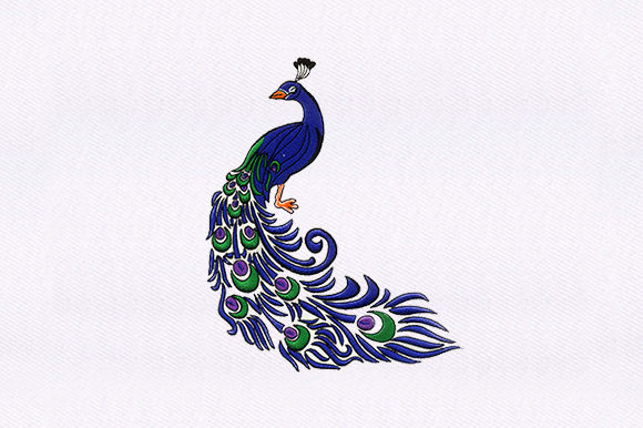 Peacock