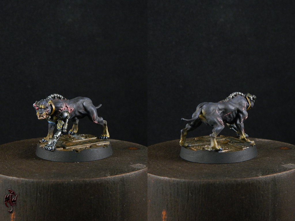 Ancient Plot: Slate Merdena and Macula