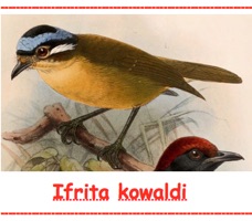 Vampiro Erudito: Aves Venenosas