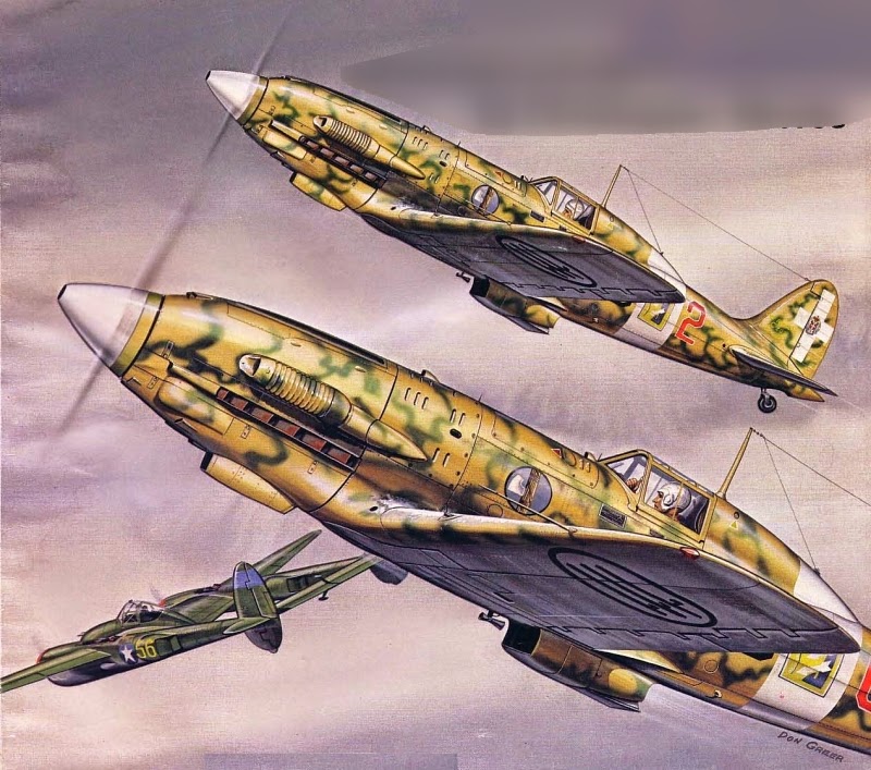 Italian Aircraft of WWII: Macchi vs U.S. Fighters