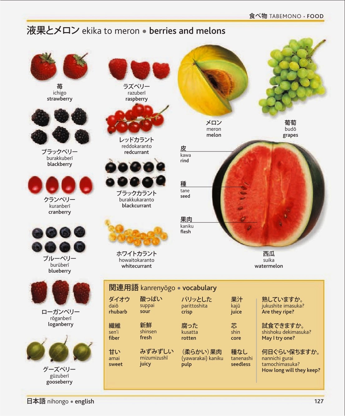 食べ物 tabemono Food - Japanese For Beginners