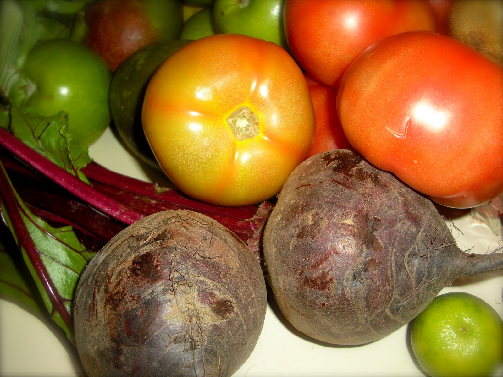 The Vegetarian Tree: The Fruit is Good!