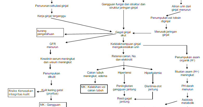 Laporan Pendahuluan / LP Gagal Ginjal Akut (GGA) atau Acute Renal Failure (ARF), Download Pdf ...