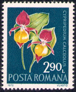Timbre filatelice: Timbre filatelice romanesti cu flori rare din Romania