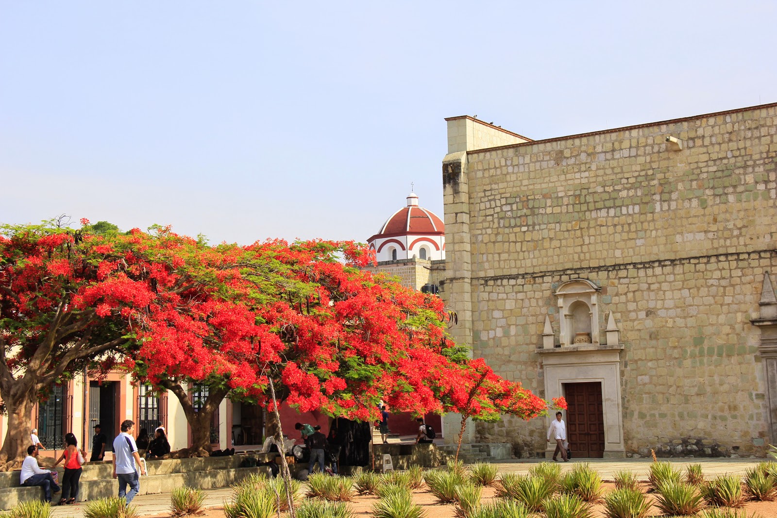 Road Trip Mexico : Oaxaca Photo Walks. Oaxaca Centro Historico,