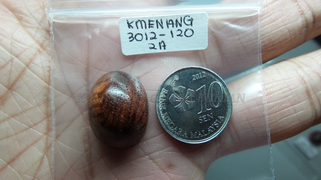 BLOG UTAMA Y.M PADUKA AYAHANDA PAY 8: KAYU MENANG HUTAN PAHANG