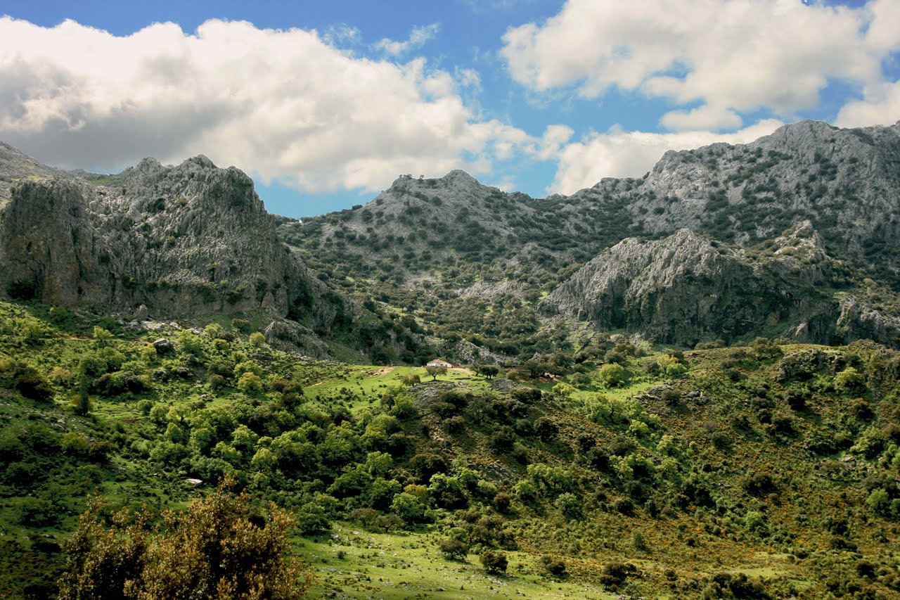 Entorno a Jerez: Lo mejor de nuestro entorno: ESPACIOS NATURALES DE LA ...