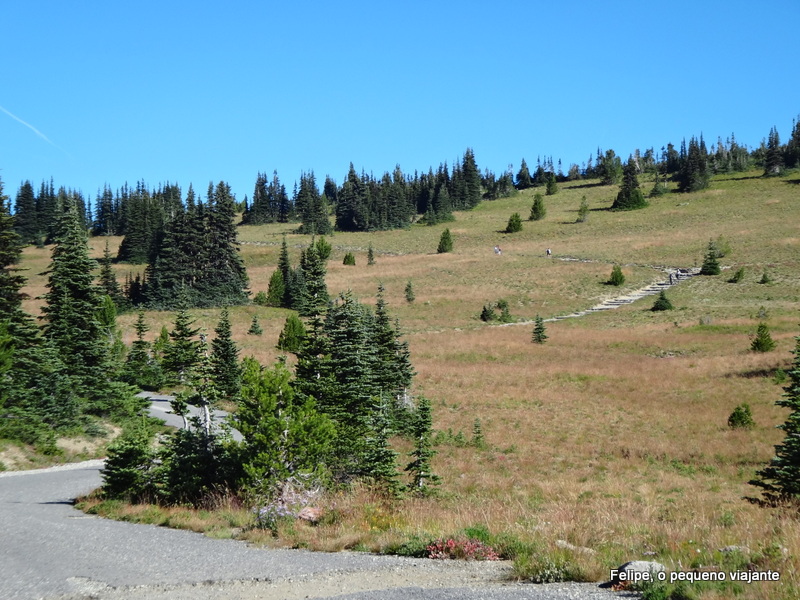 Mt. Rainier National Park, em Washington State, Estados Unidos - modo ...
