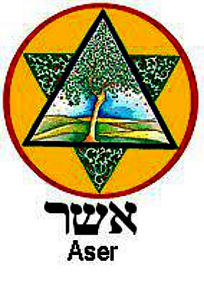 The Star of David: The 12 Star of David Emblems of the 12 Tribes of Israel