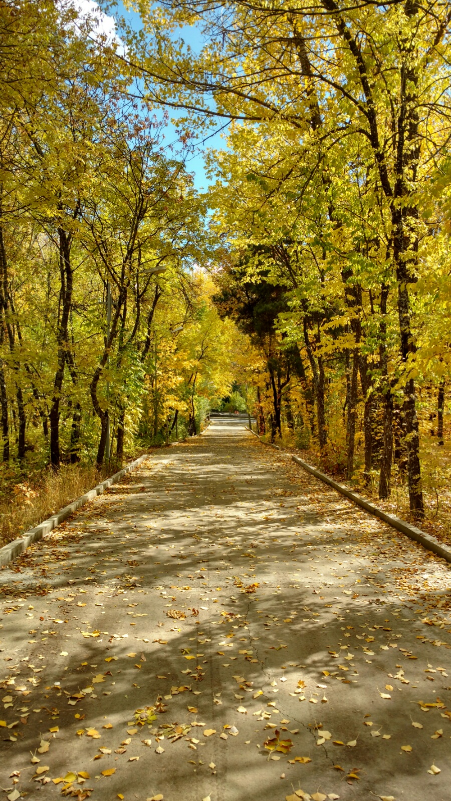 Saw this, did that.: Jermuk, Armenia