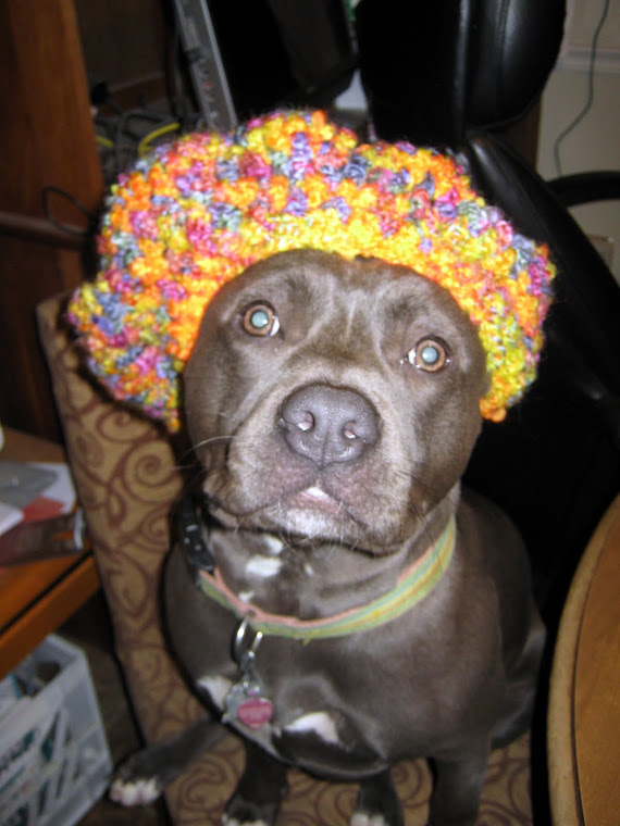 Hello Pitty!: Pitty of the Week! JASPER!!