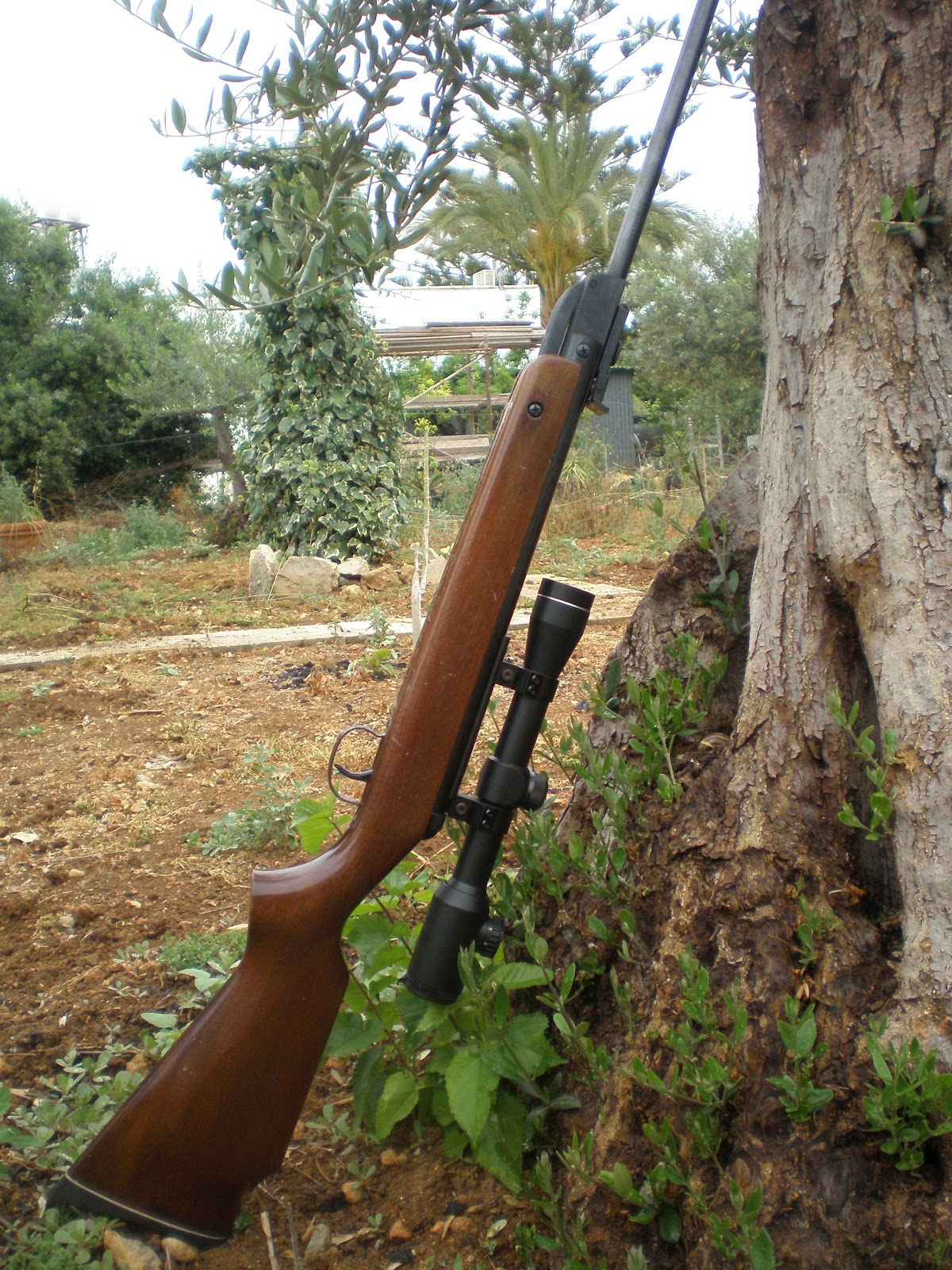 AirGuns: Diana Model 28