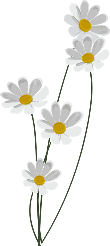 ® Gifs y Fondos Paz enla Tormenta ®: IMÁGENES DE LA FLOR DE MANZANILLA