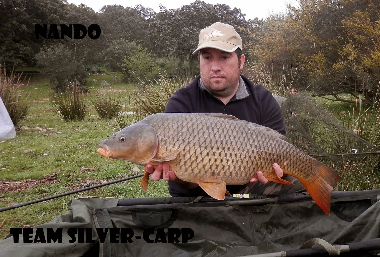 silver-carp blog: ACTUALIZACIÓN EN SILVER-CARP