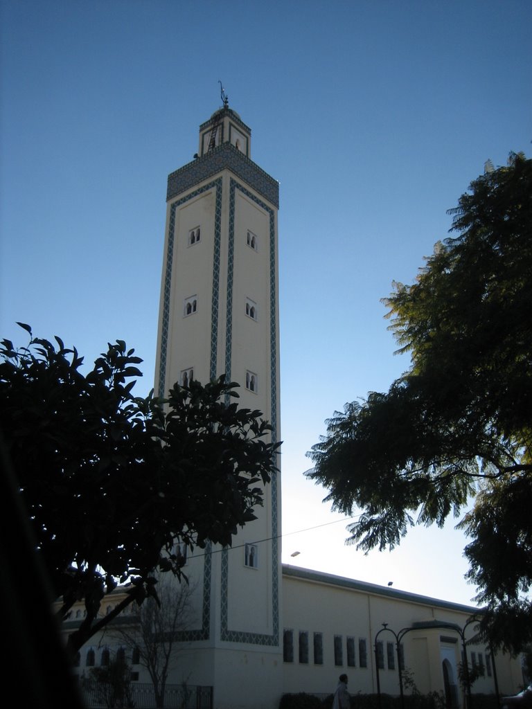 photo berkane 2012 maroc ~ le web et internet