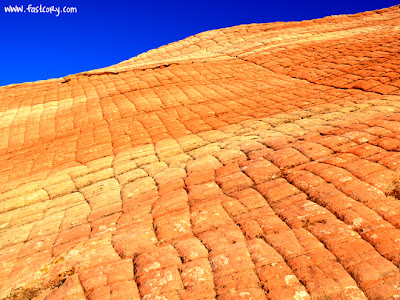 Fast Cory: Yant Flat - Most Beautiful Place In Utah?