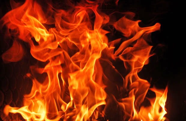 Estrela Cigana do Oriente: Elementais da Natureza - Quem são?