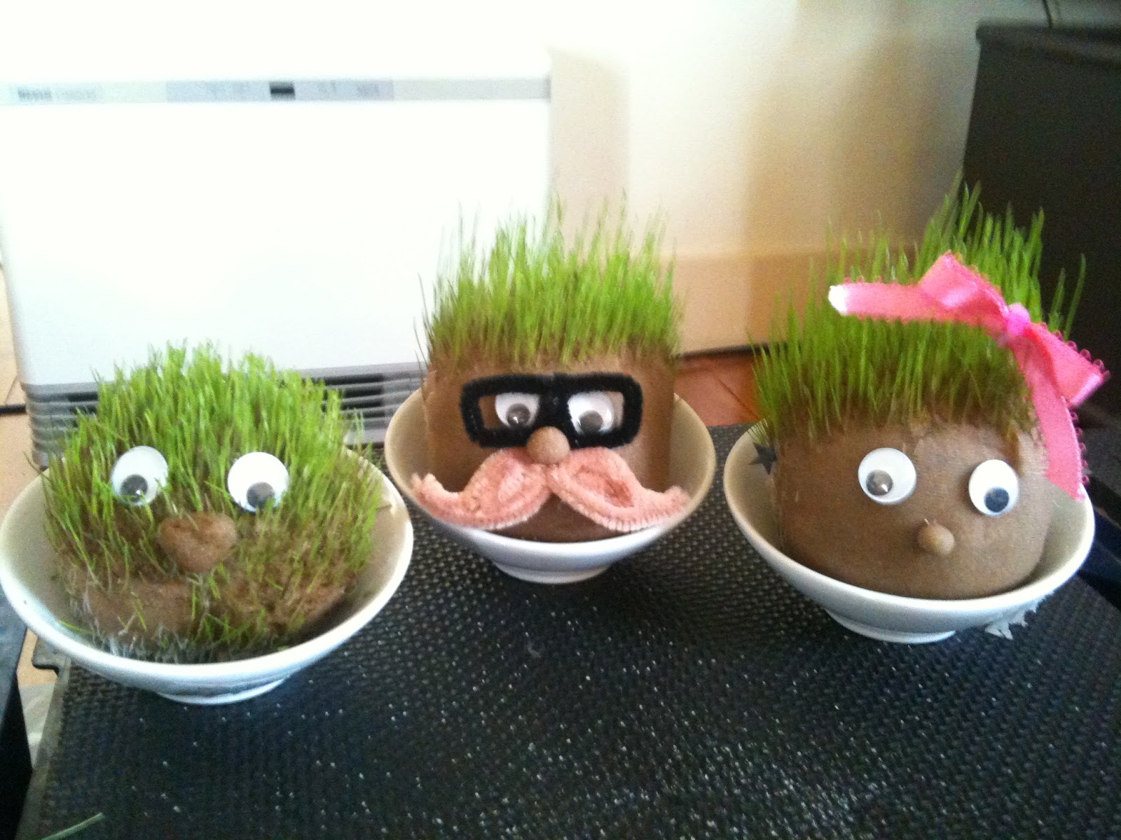 ...and live!: Relive your childhood dreams and make your own chia pet!