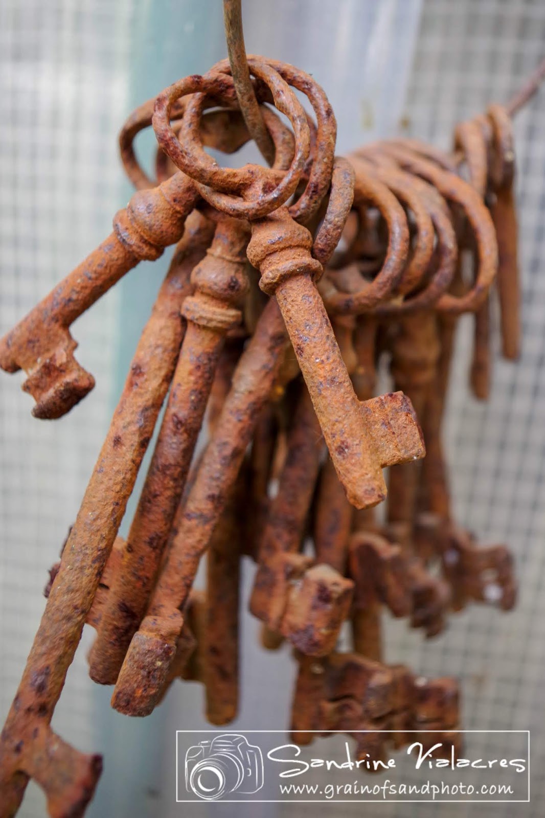 Projet 52 - semaine 3 : Les clefs du château - Sandrine Vialacres