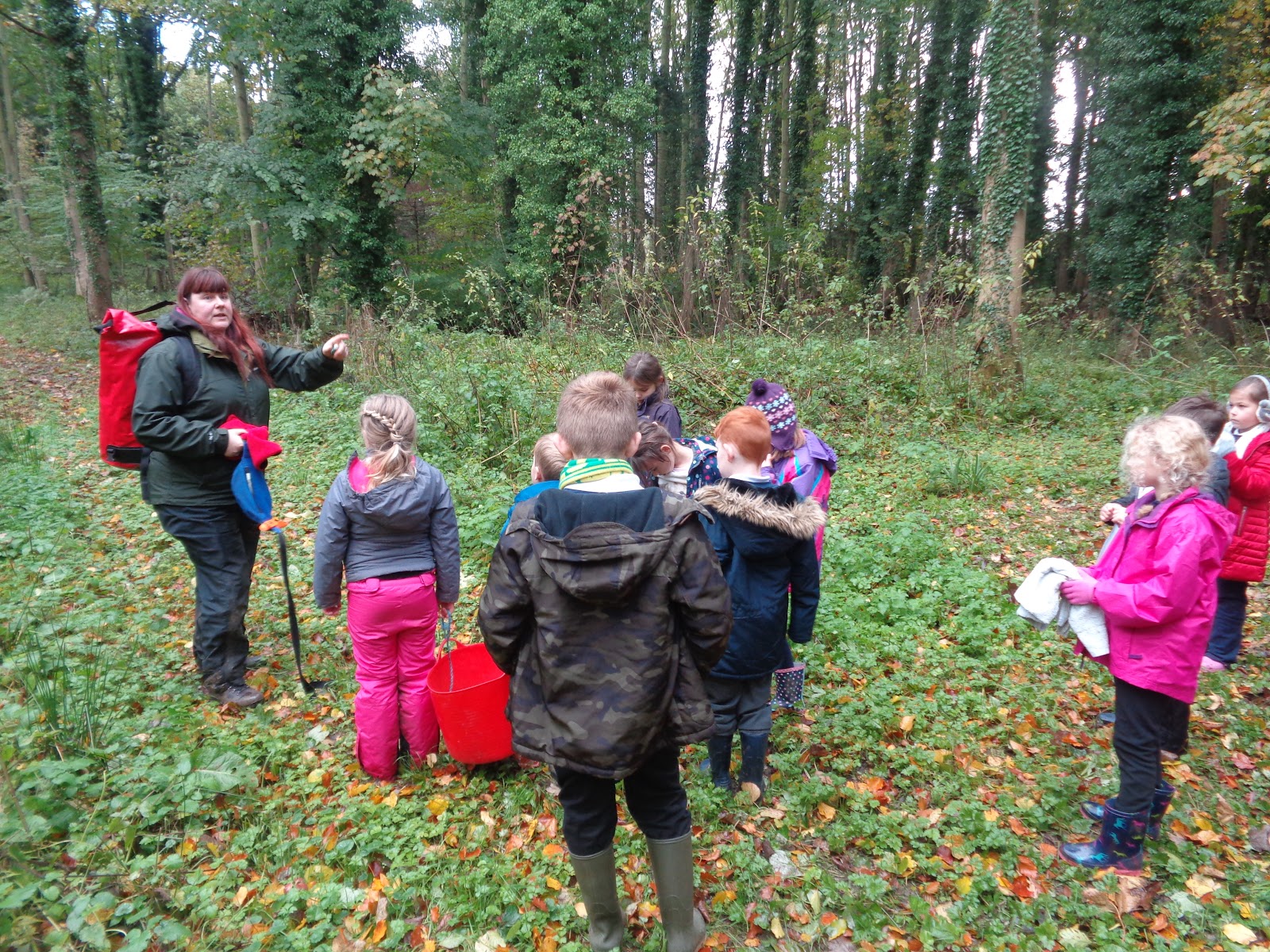 Oak Class: Oak Class Forest School 2017