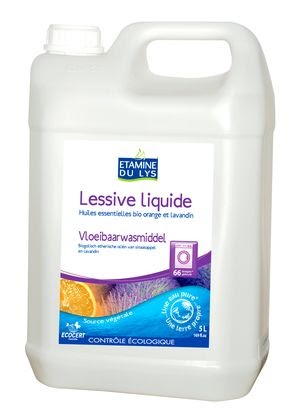 French Vocabulary Illustrated: lessive